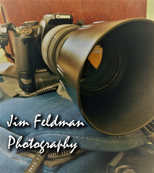 Jim Feldman - Official Website